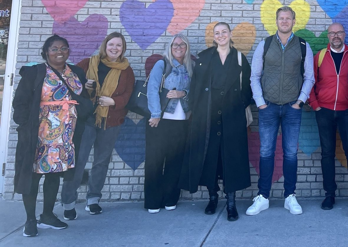 Intimate Partner Violence Intervention - National Network for Safe ...